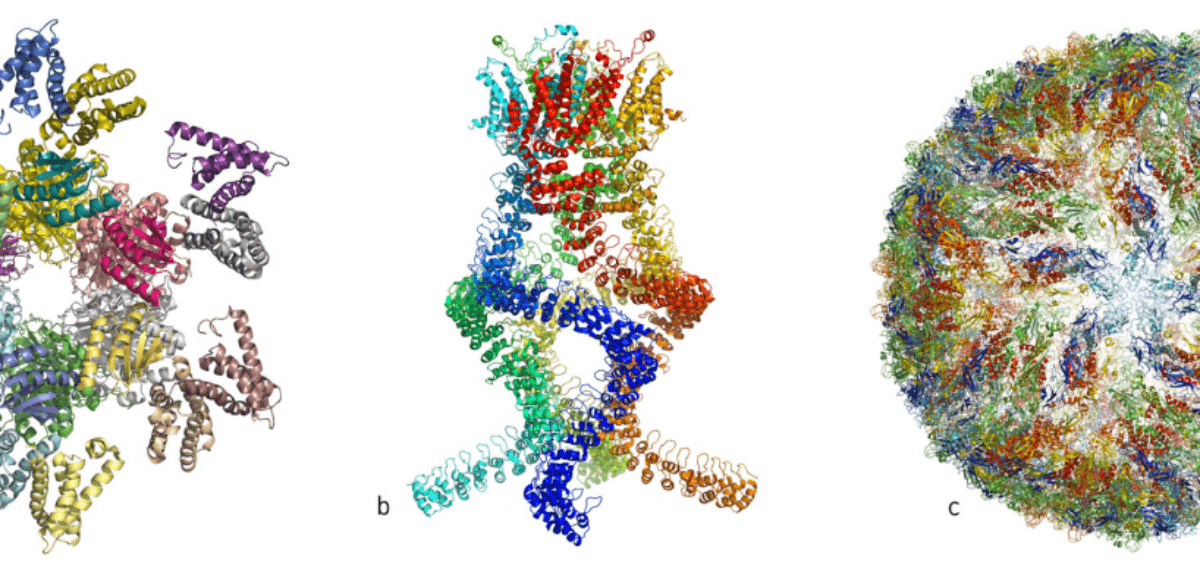 Proteins Take Shape with Cryo-Electron Microscopy (Cryo-EM)