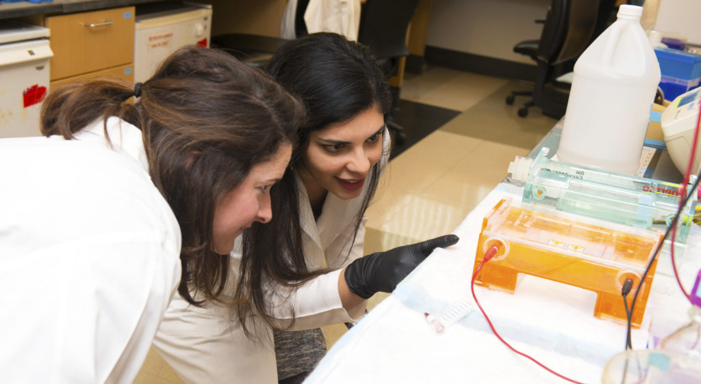 Mass General Research Institute Externship: Sharing Science with Our ...